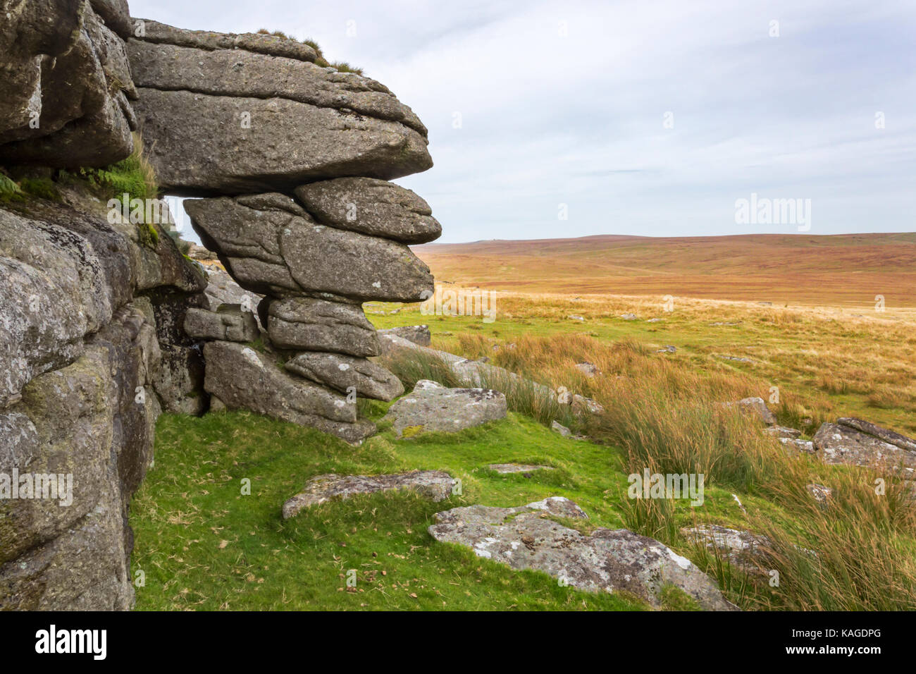 Granite outcrop at Great Mis Tor, Dartmoor National Park, Devon, UK in ...