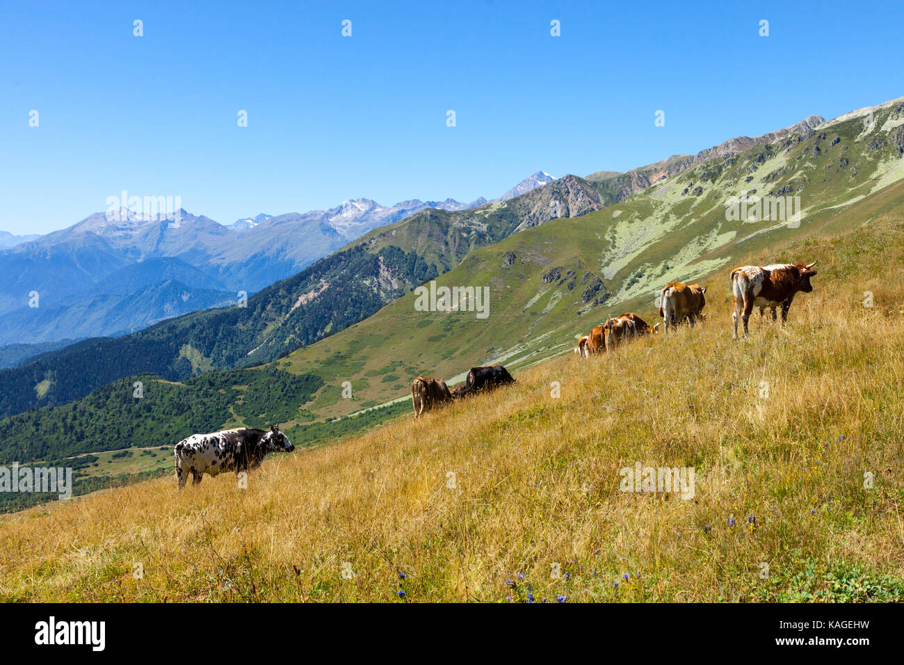 Mountains in Georgia Stock Photo - Alamy