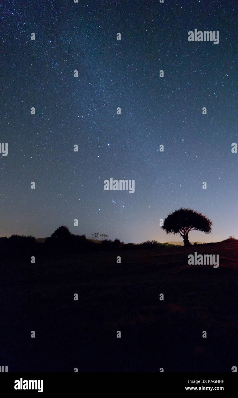 Stars at night at Hastings Point Lookout, nsw Stock Photo - Alamy
