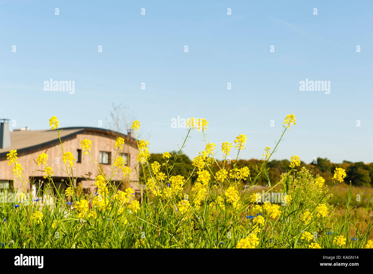 Accommodation in the Villages Nature Paris comprises cottages and ...