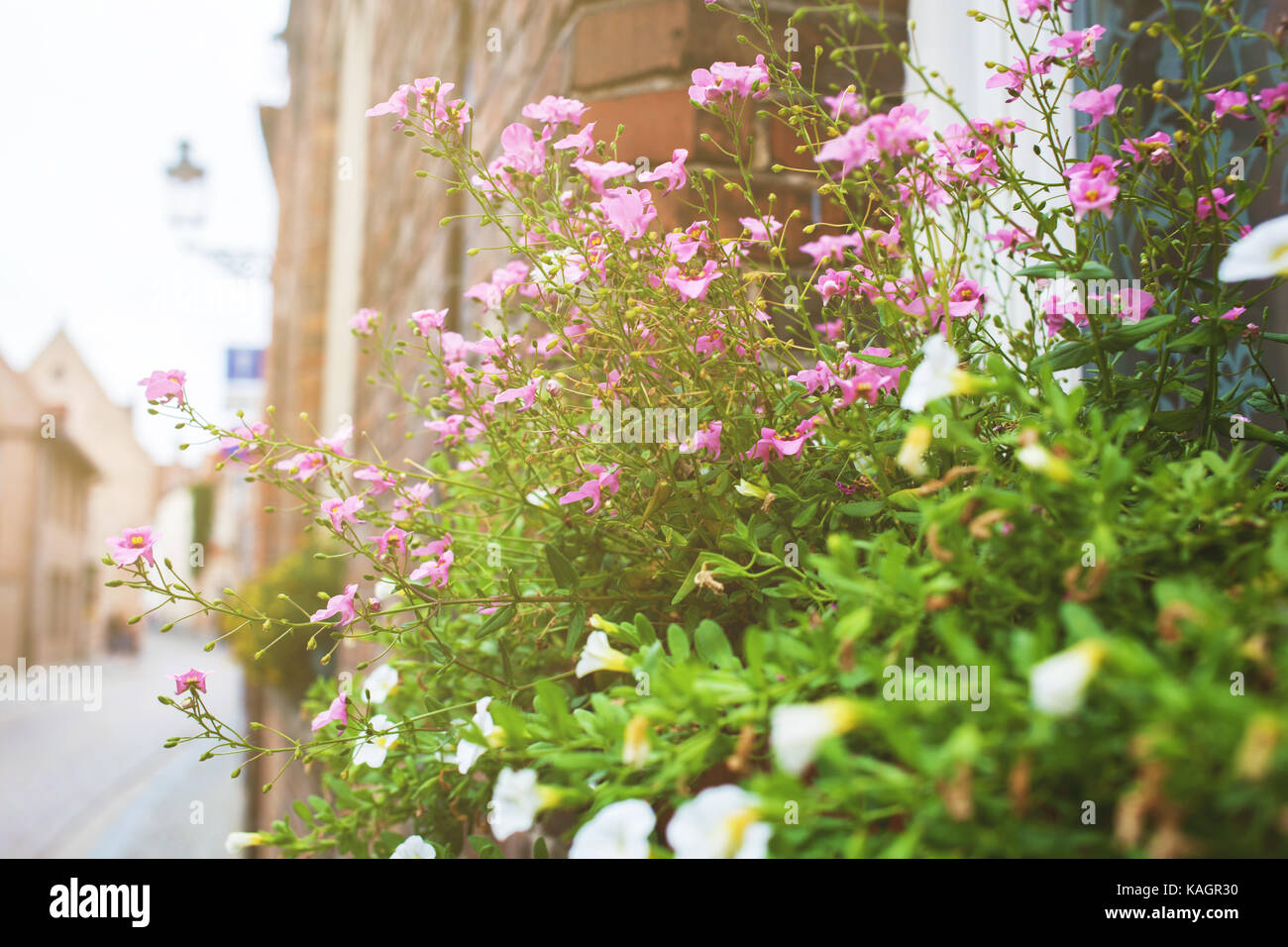 Balcony with flowers Stock Photo - Alamy
