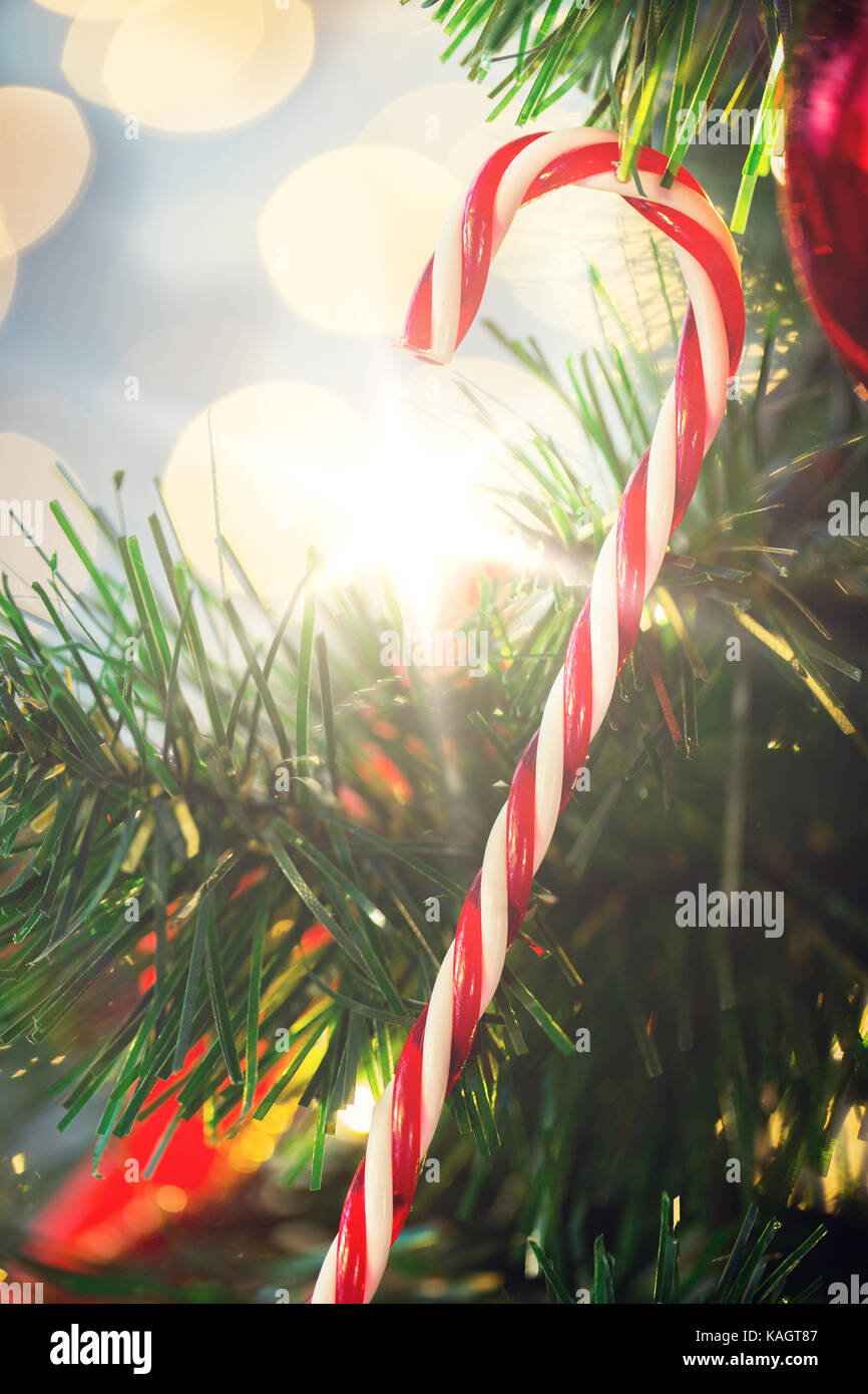 close up of sugar cane candy on christmas tree Stock Photo - Alamy