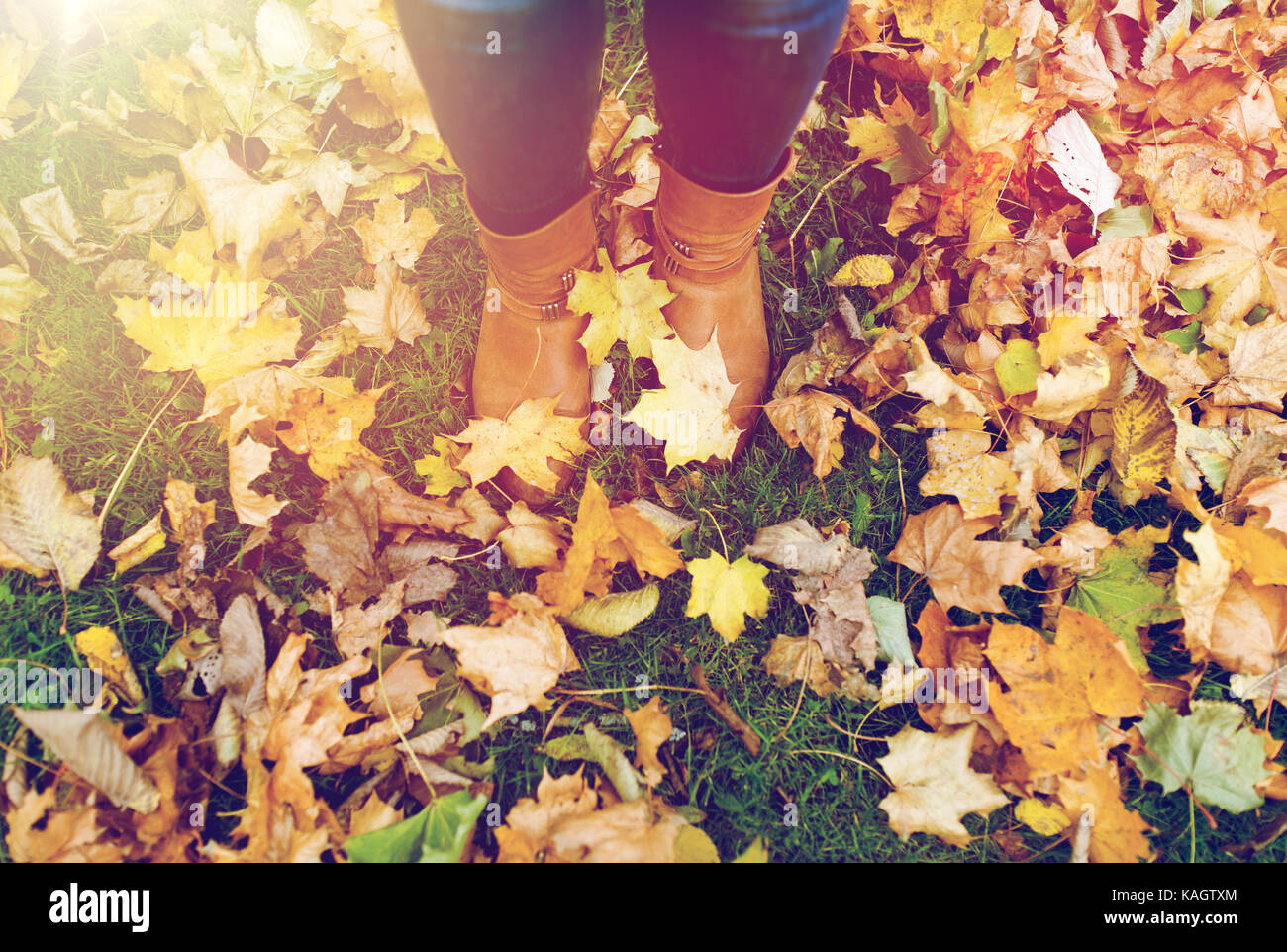 female feet in boots and autumn leaves Stock Photo - Alamy