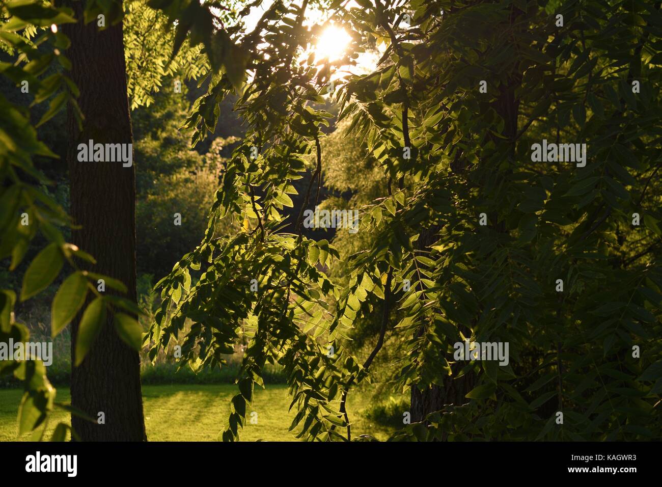Portrait by river Stock Photo - Alamy