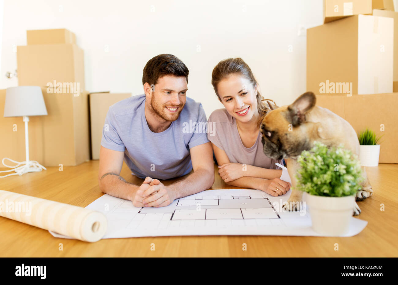 couple with boxes, blueprint and dog at new home Stock Photo - Alamy