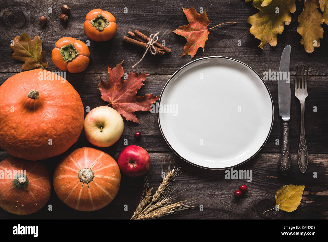 Thanksgiving dinner plate hi-res stock photography and images - Alamy