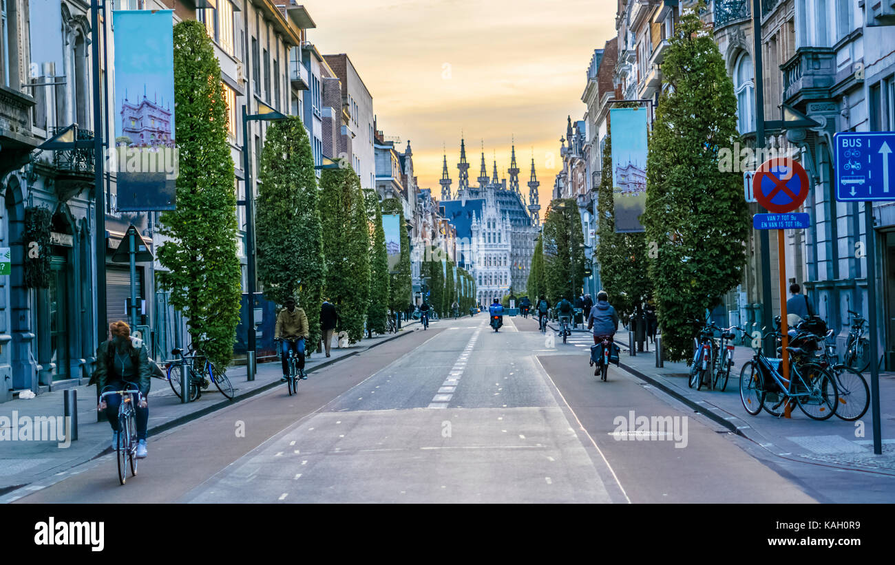 Leuven, Belgium view of the domes of Historisch Stadhuis van Leuven ...
