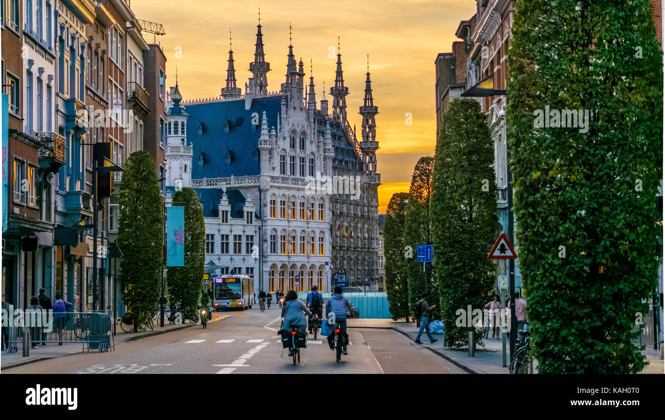Leuven, Belgium view of the domes of Historisch Stadhuis van Leuven ...