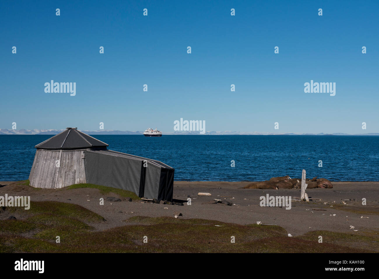 Norway, Svalbard, South Svalbard Nature Reserve, Edgeoya, Kapp Lee ...