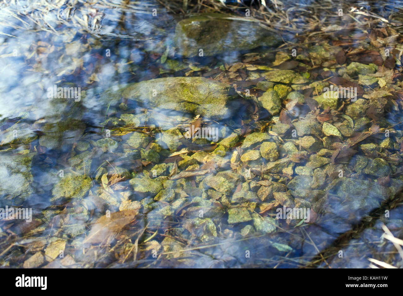 Stream close up hi-res stock photography and images - Alamy