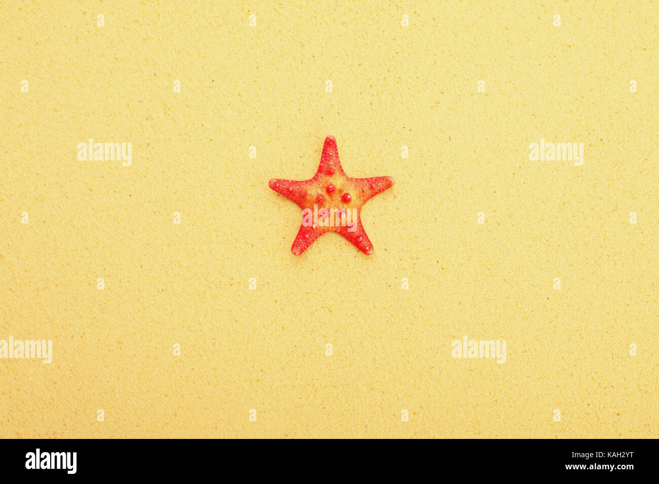 Starfish red color hi-res stock photography and images - Alamy
