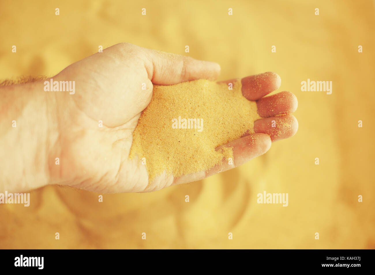 Hand holding beach sand Stock Photo - Alamy