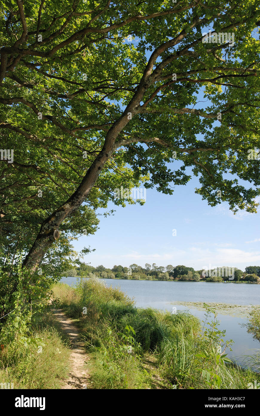 Road along pond Stock Photo - Alamy
