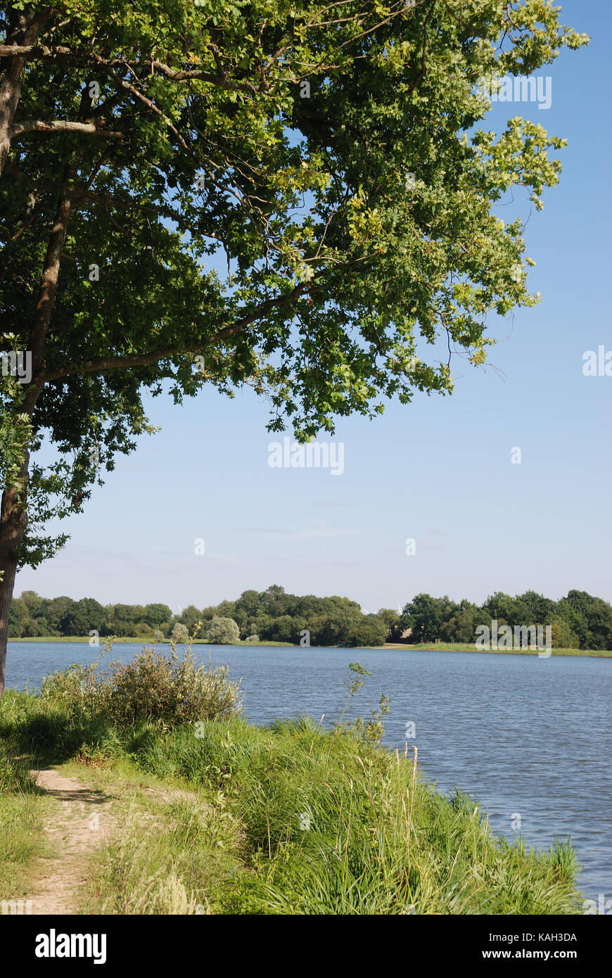 Road along pond Stock Photo - Alamy