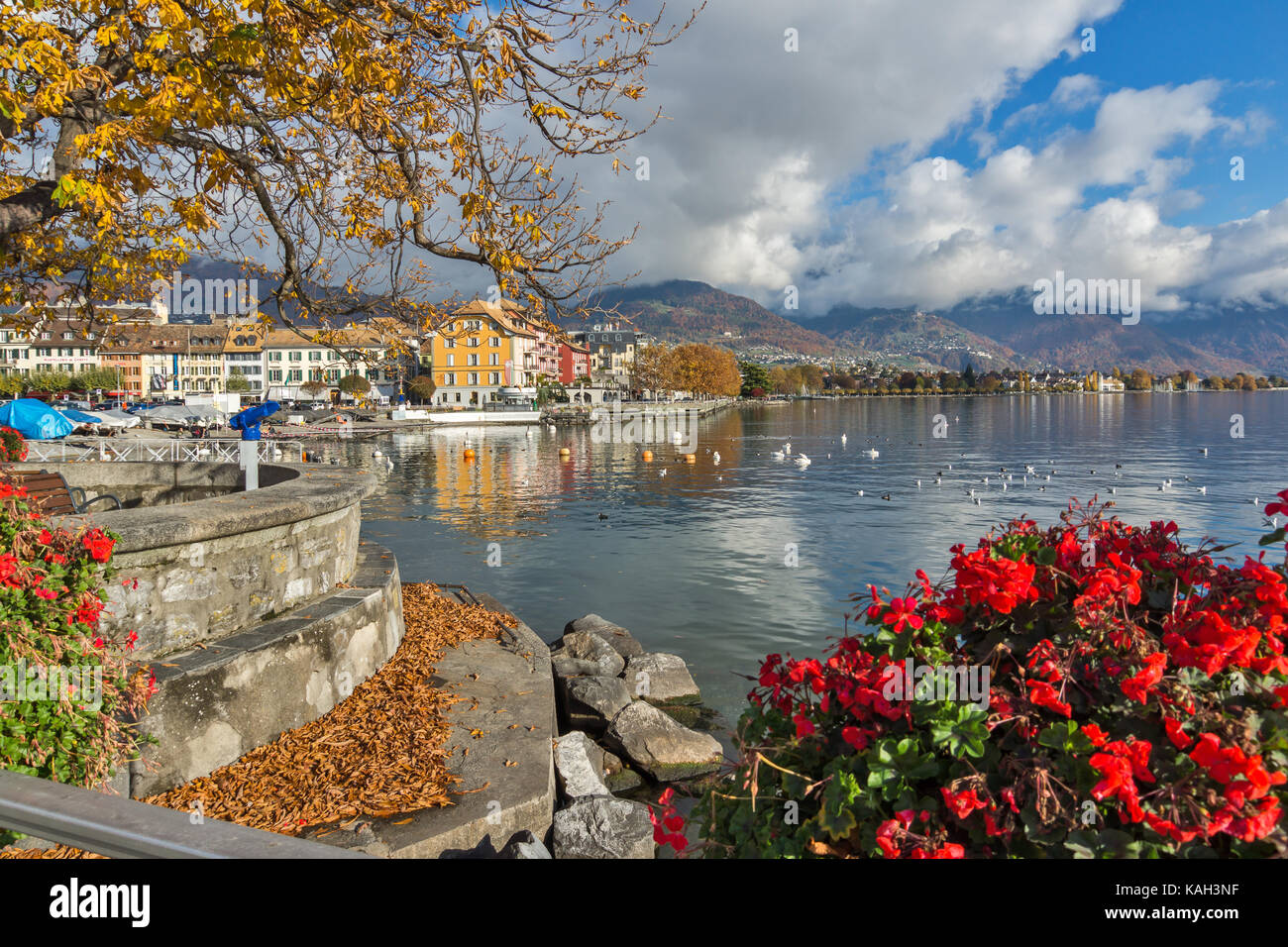 Amazing Panorama with flowers of Vevey, canton of Vaud, Switzerland ...