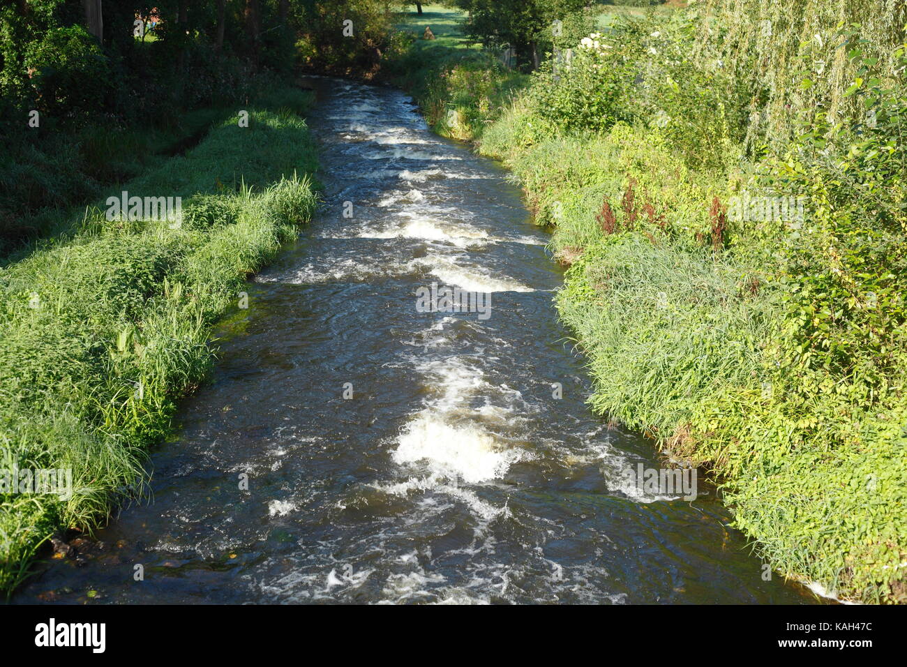 river with rushing water and plants Stock Photo - Alamy