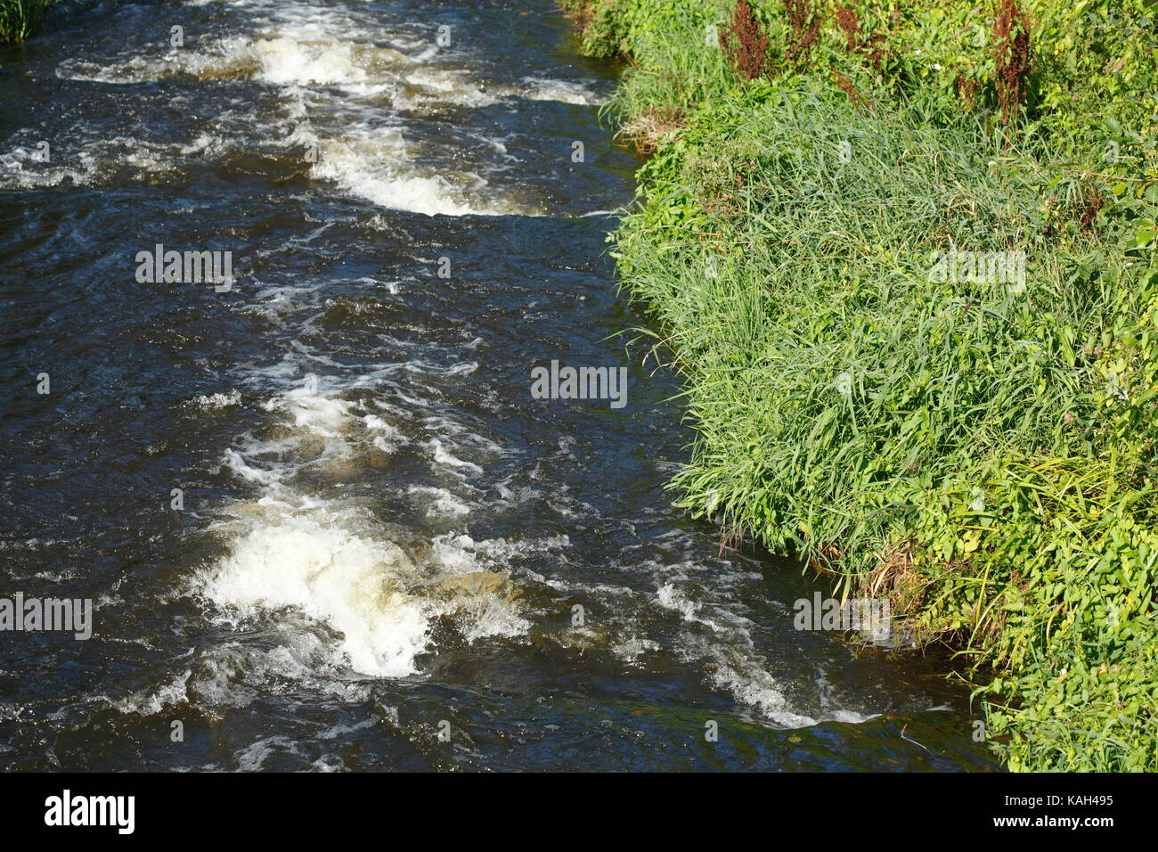 river with rushing water and plants Stock Photo - Alamy