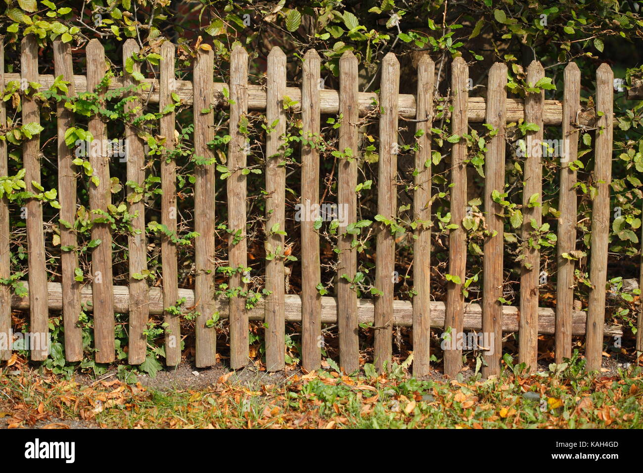old brown wooden garden fence Stock Photo - Alamy