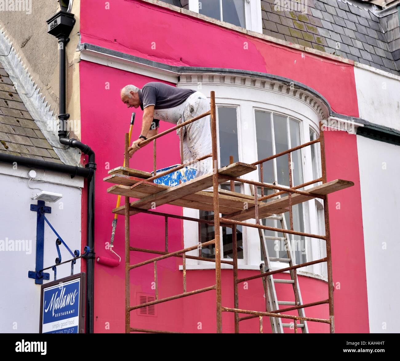 A man standing on some scaffolding painting a house pink using a roller ...