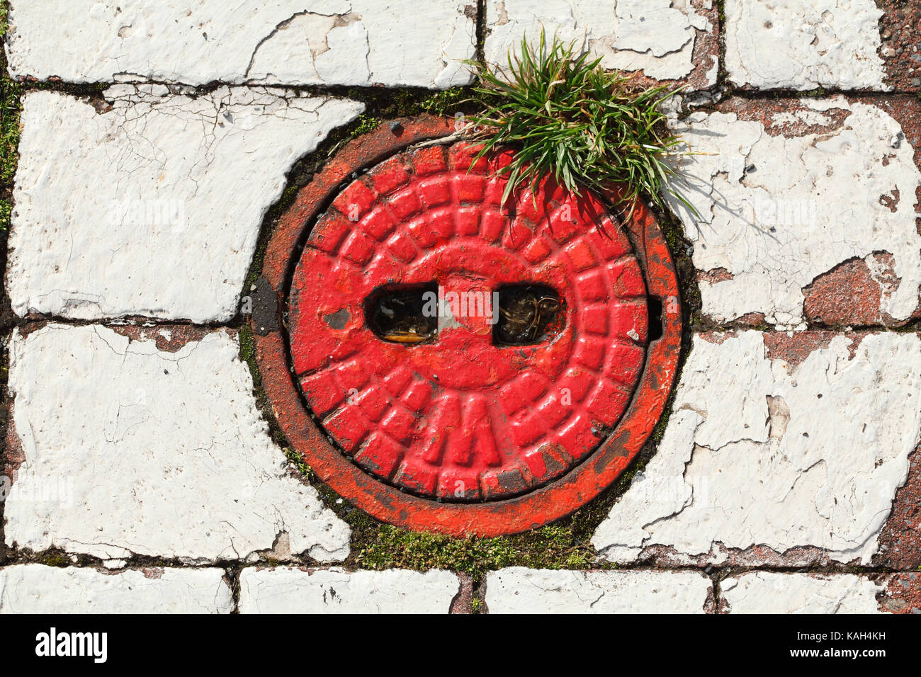 red round fire hydrant lid Stock Photo - Alamy
