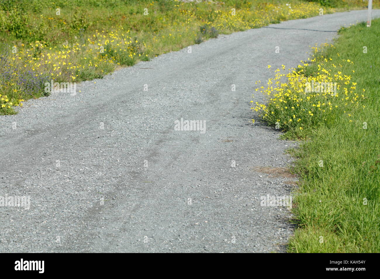 Grit way, footpath, pedestrian's way Stock Photo - Alamy