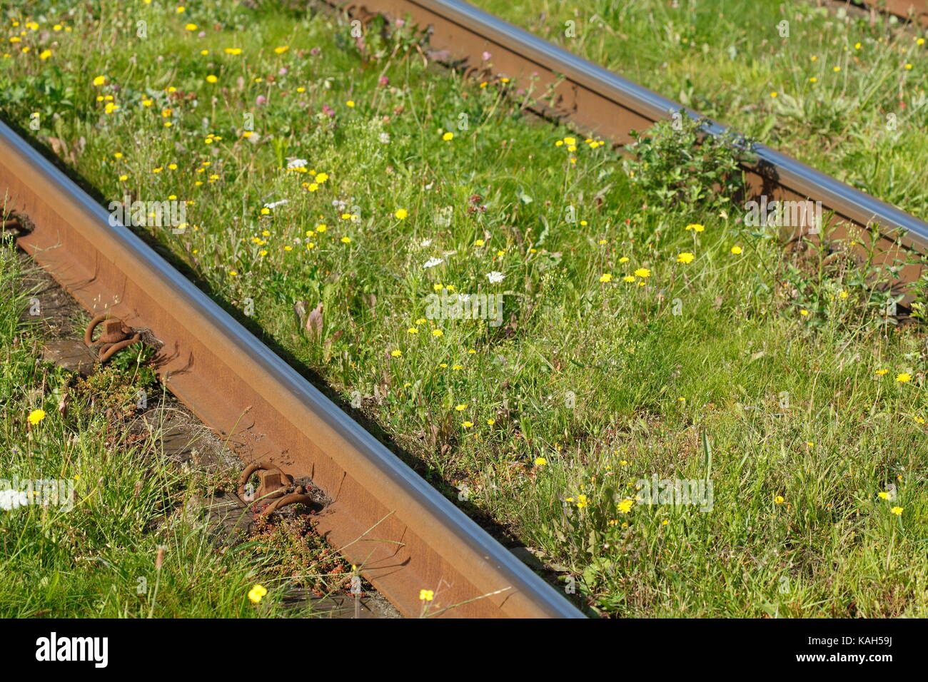 Tramway track hi-res stock photography and images - Alamy
