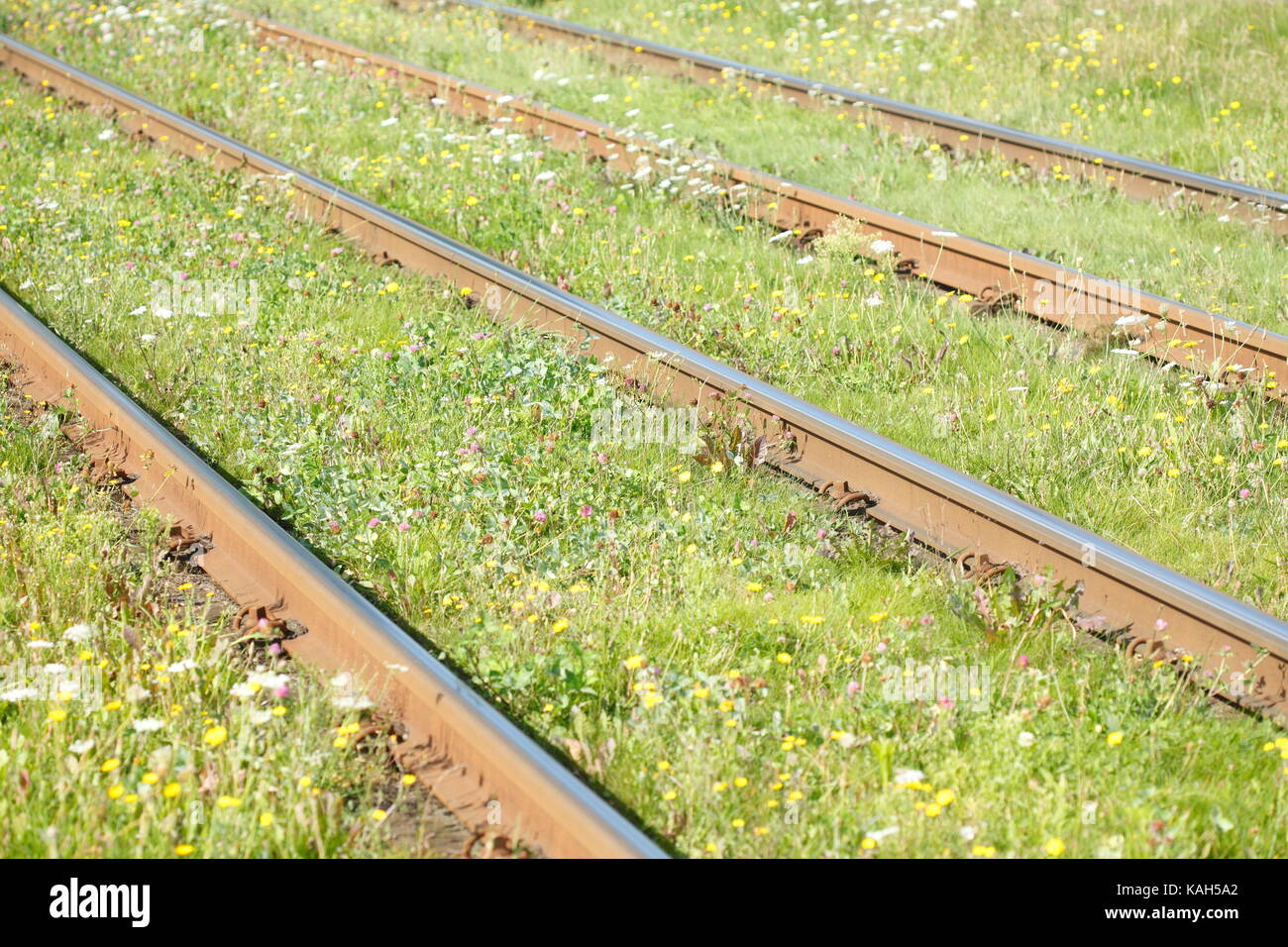 Tramway track hi-res stock photography and images - Alamy