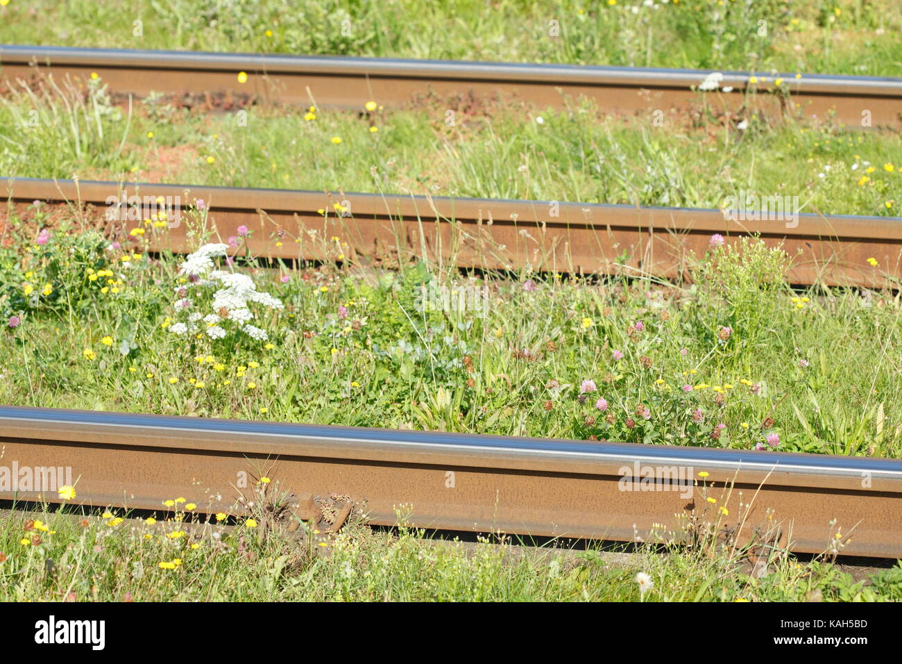 Tramway track hi-res stock photography and images - Alamy