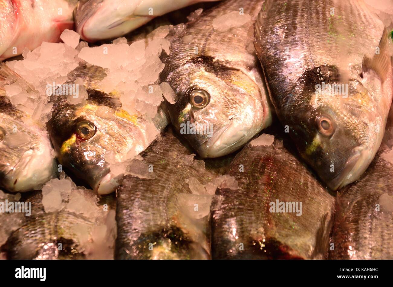 Fish slab hi-res stock photography and images - Alamy