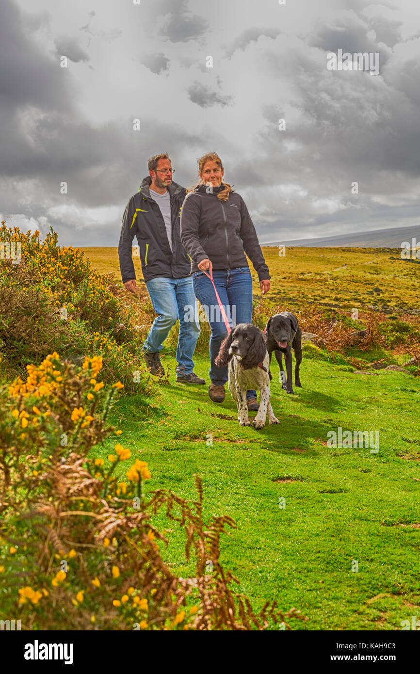 Uk two dogs on the moors hi-res stock photography and images - Alamy