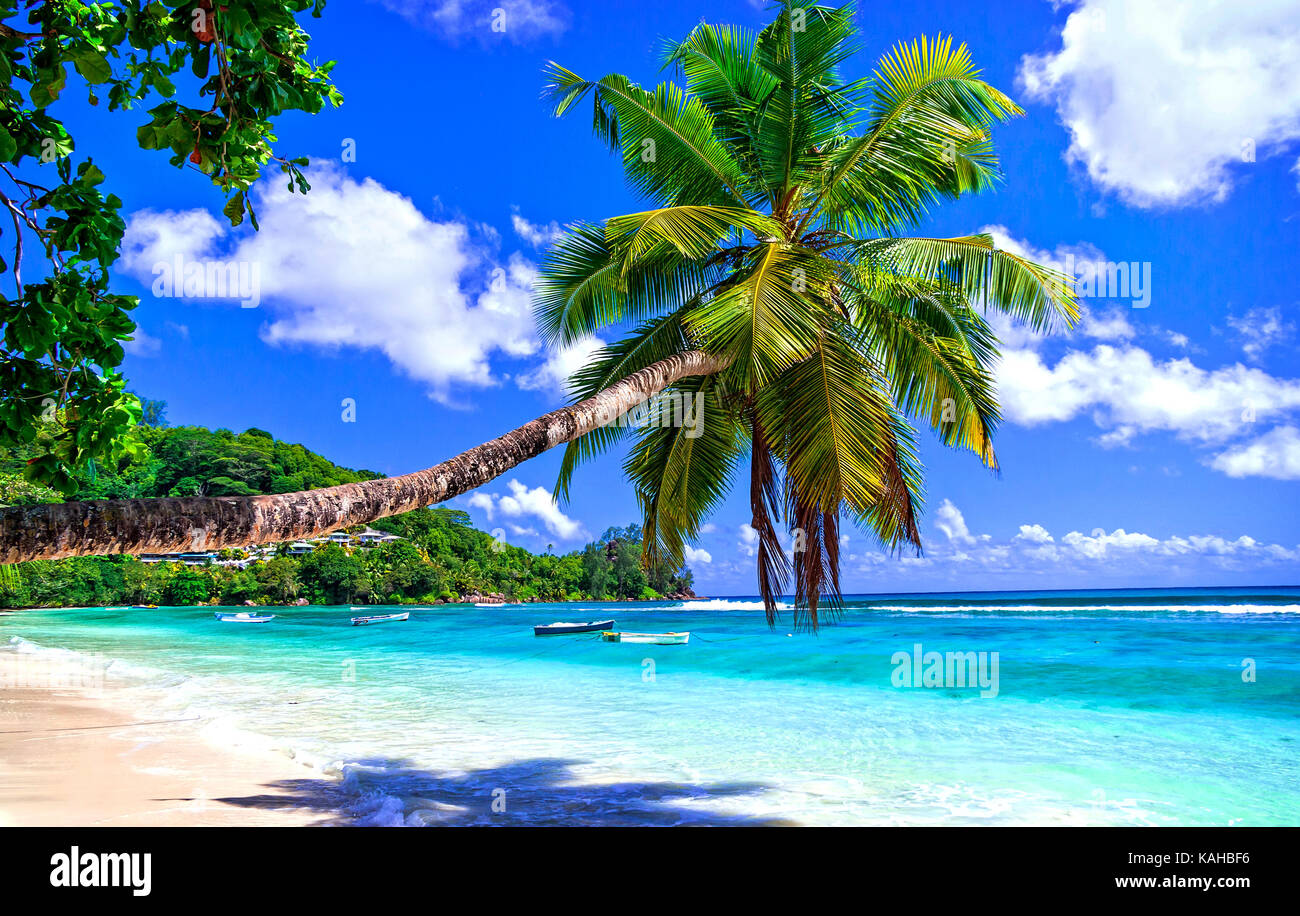 Beautiful beach of Praslin Seychelles island,panoramic view Stock Photo ...