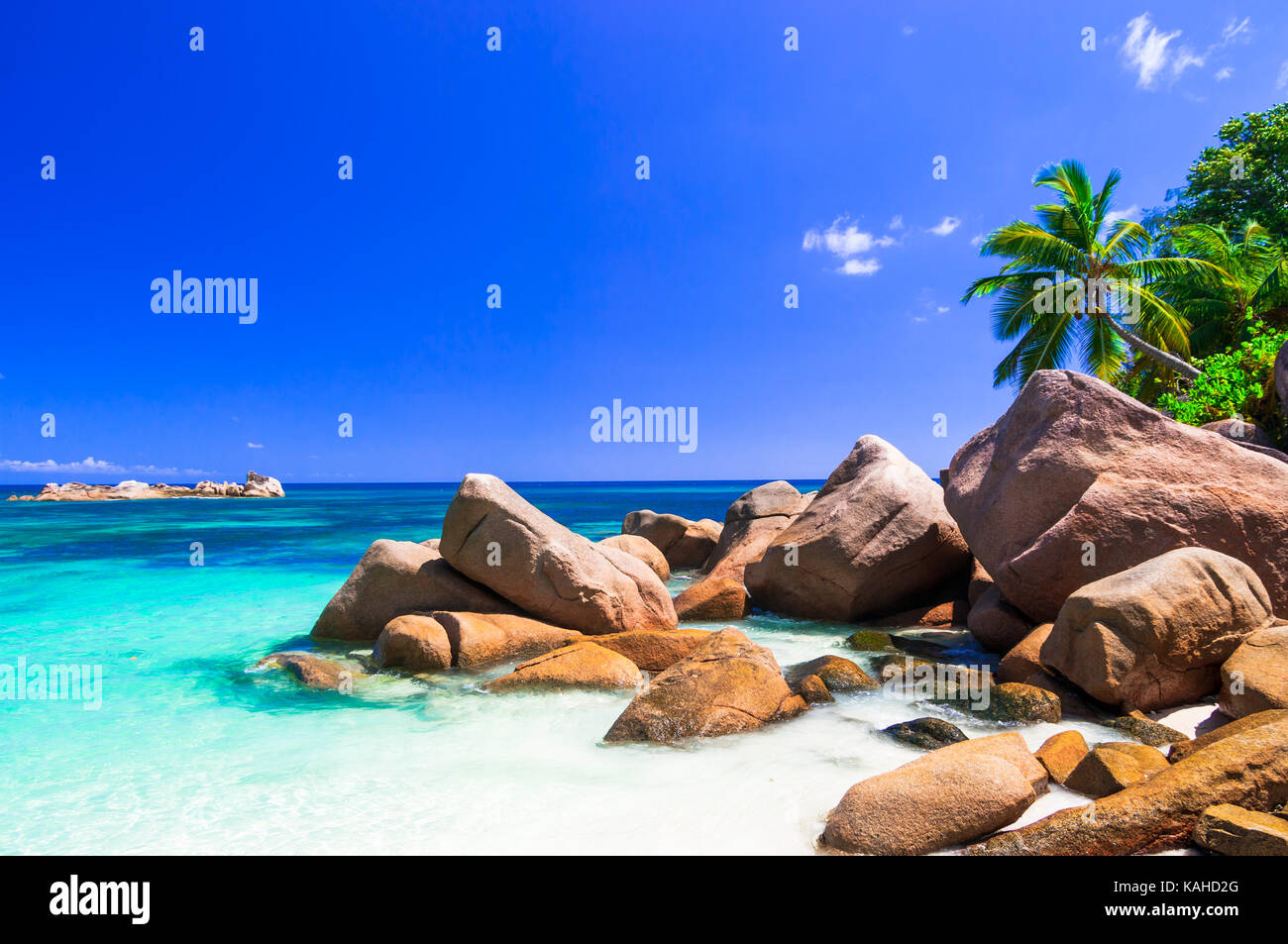 Incredible nature in Praslin island,Seychelles Stock Photo - Alamy