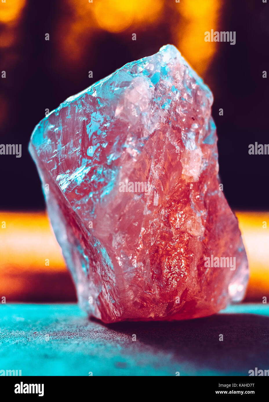 Rose specimens hi-res stock photography and images - Alamy