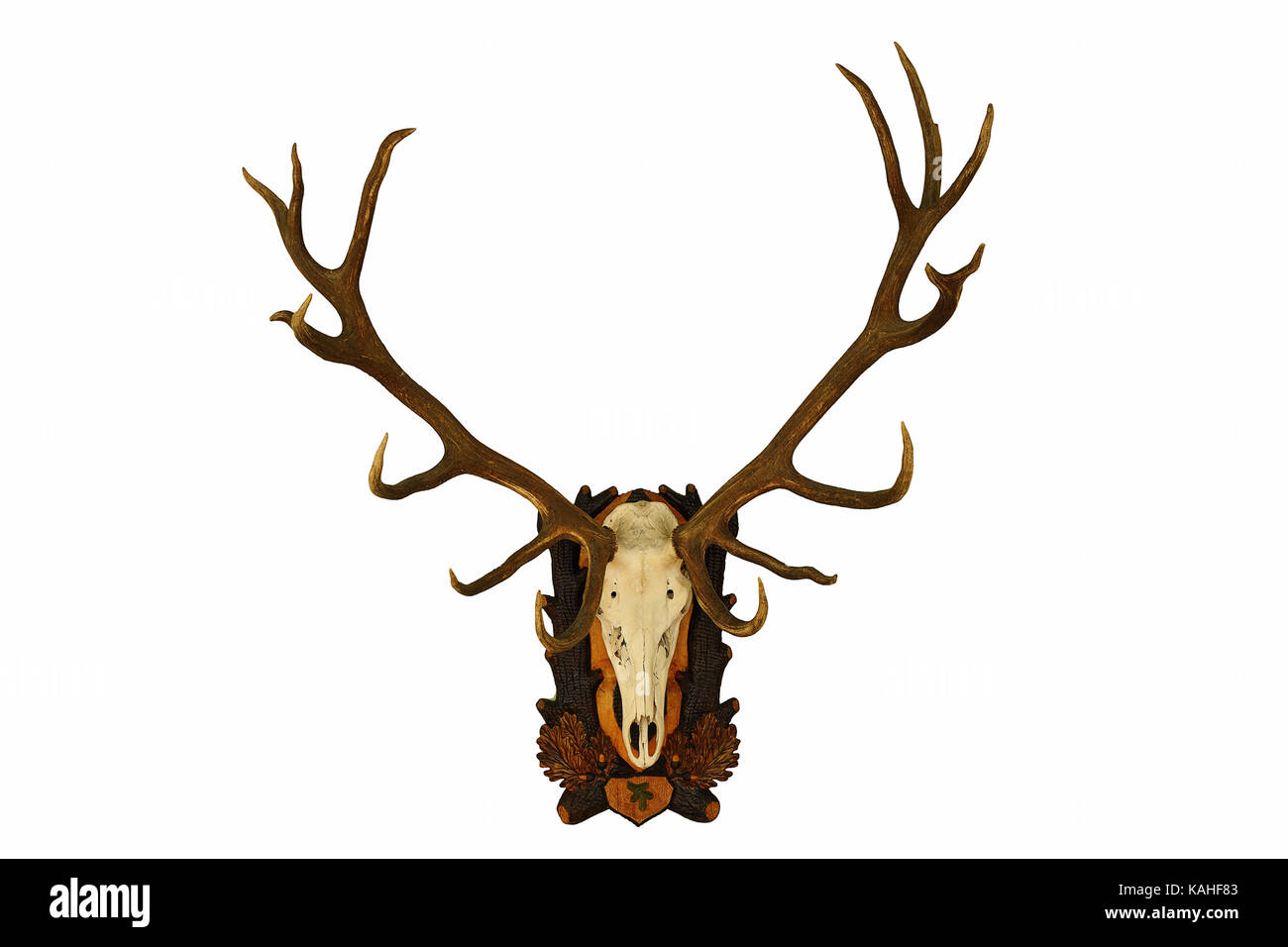 Deer Hunting Background