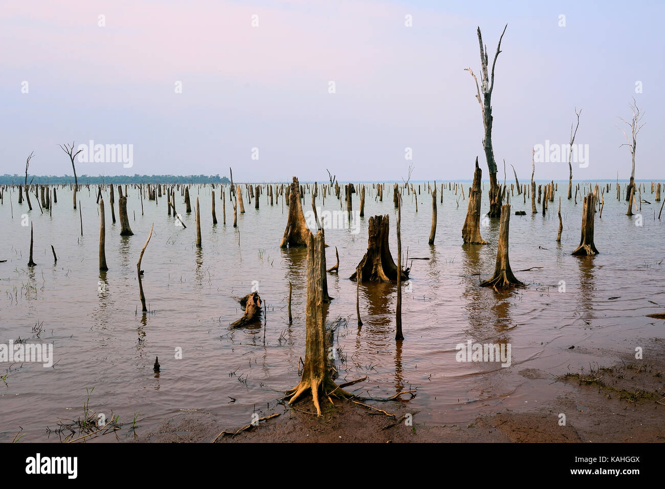 Biological weathering hi-res stock photography and images - Alamy