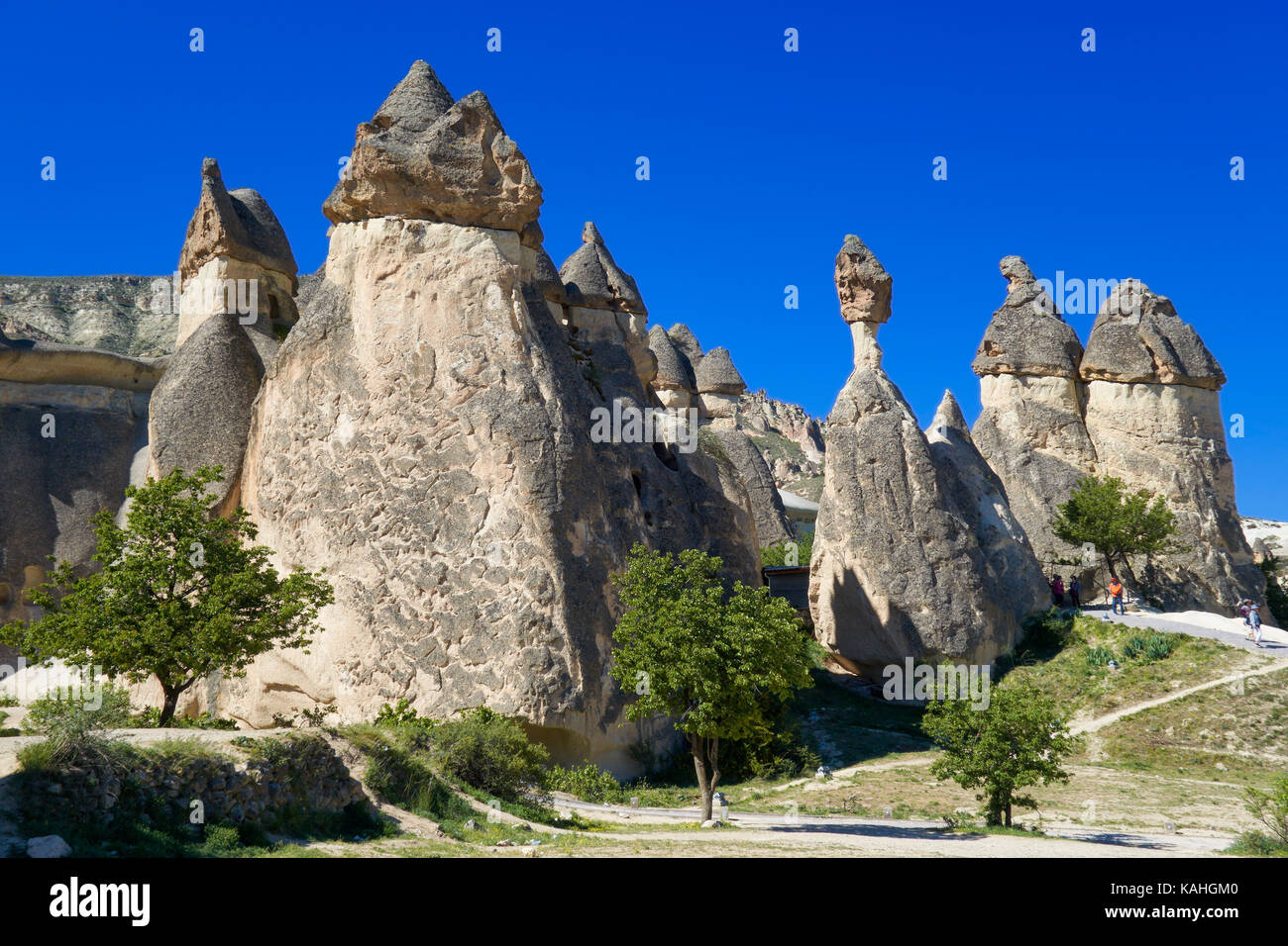 Typical fairy chimneys, eroded sandstone rock formations in Pasabagi ...
