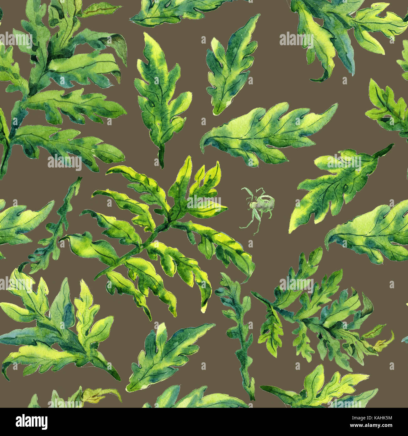 Forest fern leaves ornament pattern Stock Photo - Alamy