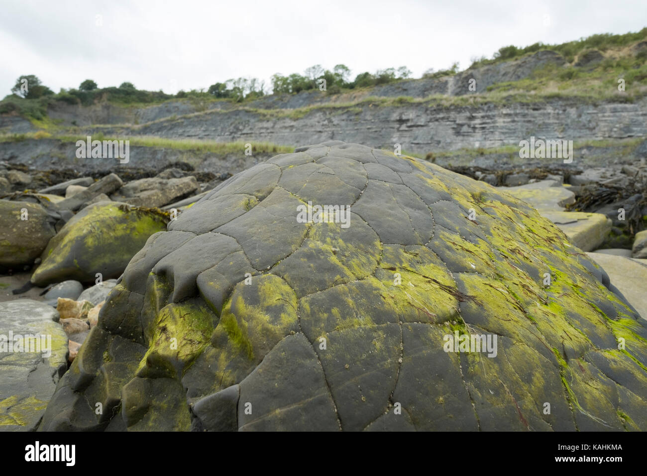 Rocks on regis beach hi-res stock photography and images - Alamy
