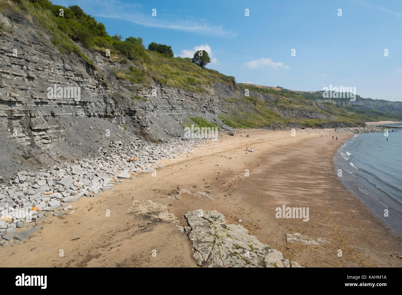 Lyme regis dorset jurassic coast cliffs beach fossils layers roc hi-res ...