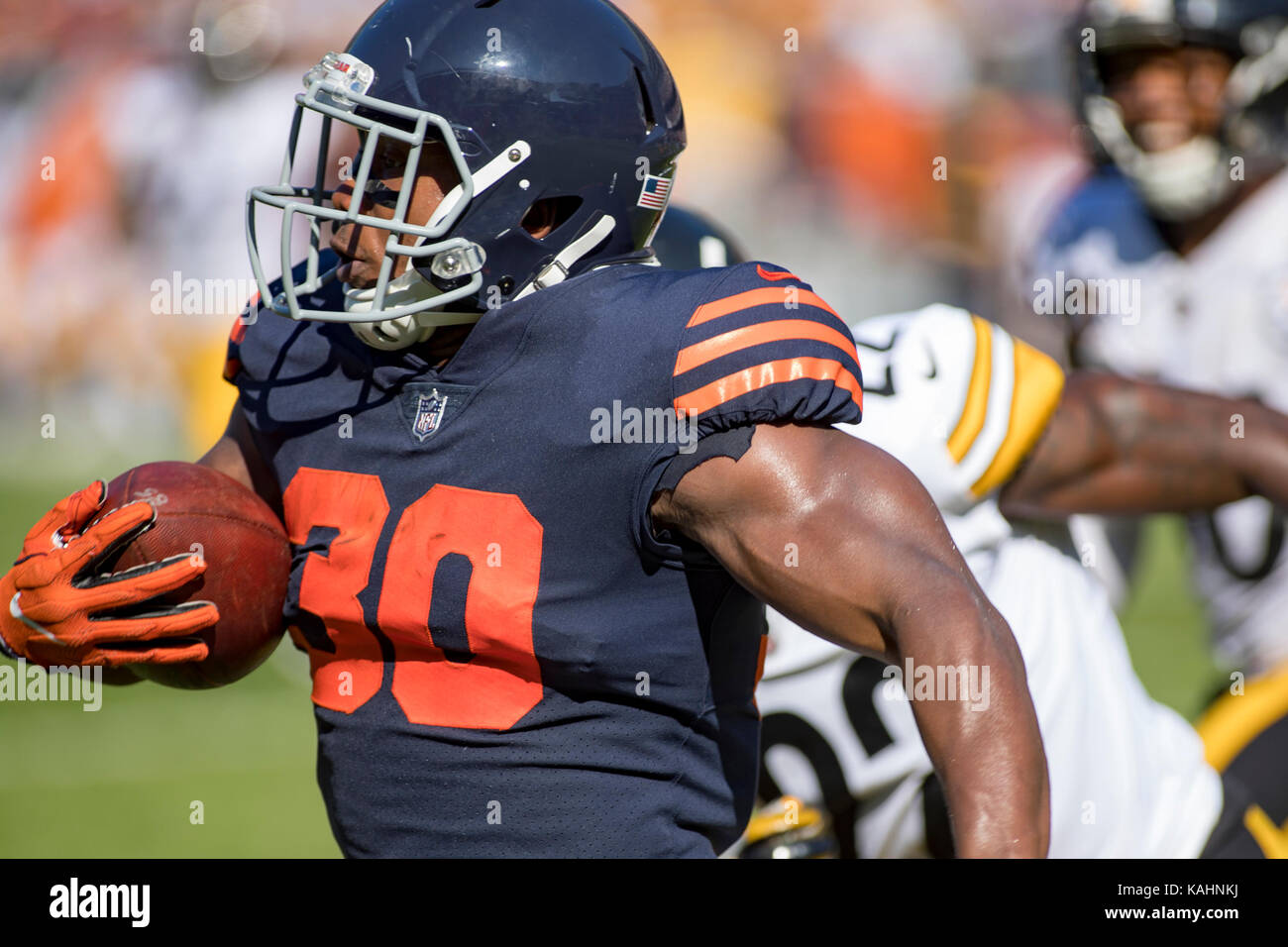 Benny cunningham bears hi-res stock photography and images - Alamy