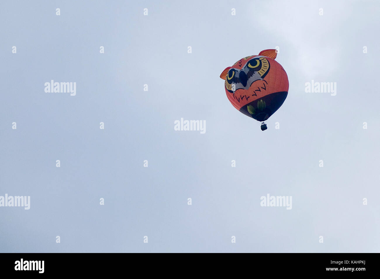 Owl hot air balloon hi-res stock photography and images - Alamy