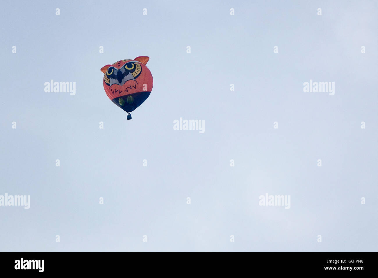 Owl hot air balloon hi-res stock photography and images - Alamy