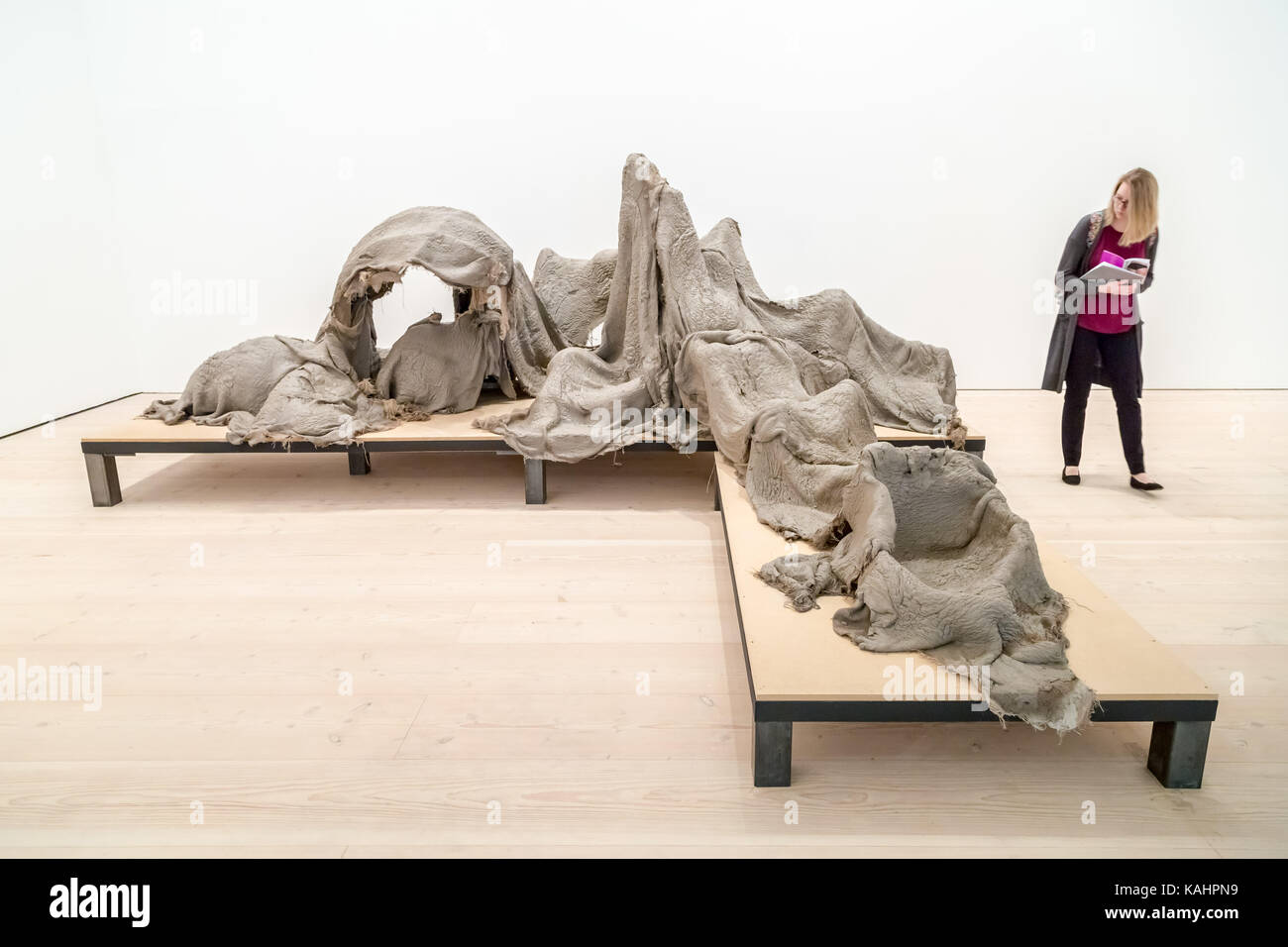 Elephant skin installation hi-res stock photography and images - Alamy