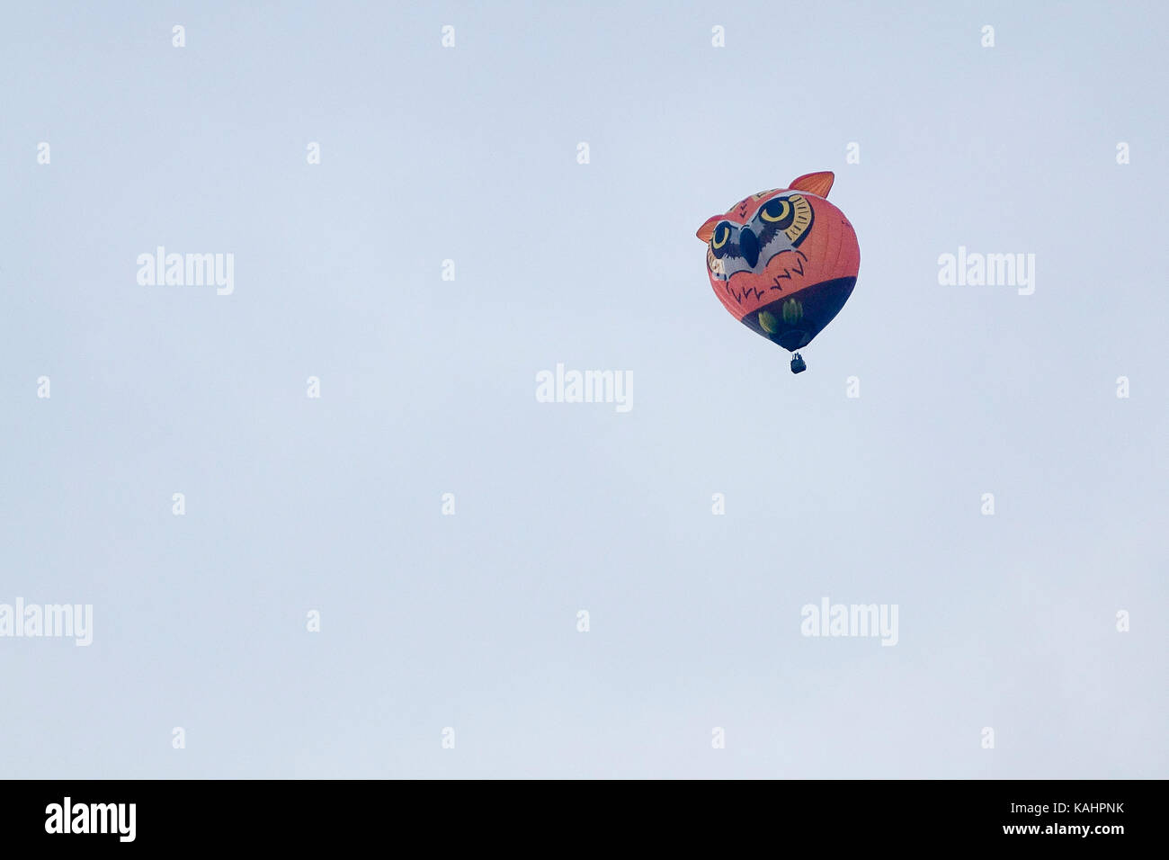 Owl hot air balloon hi-res stock photography and images - Alamy