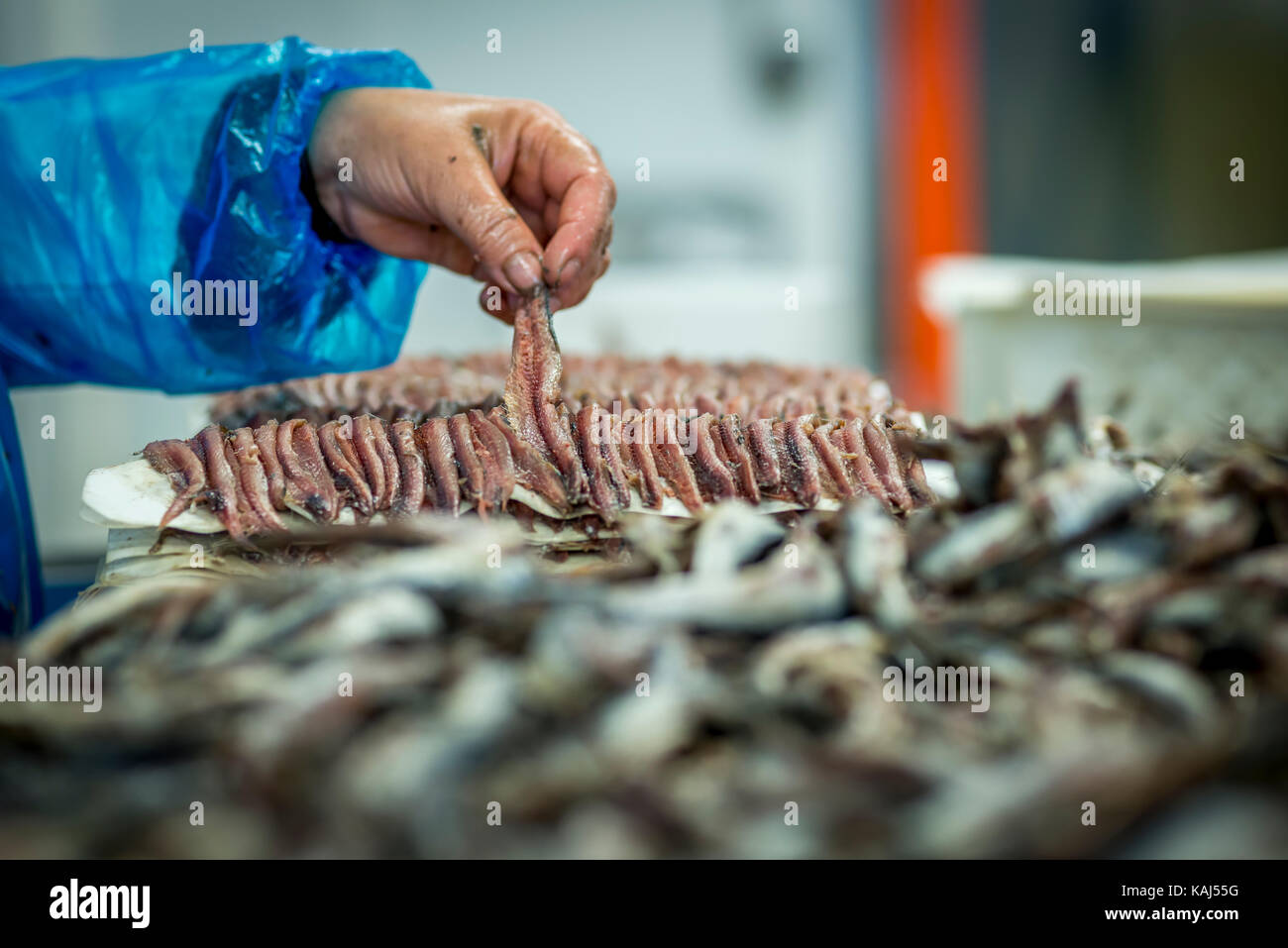 Roque anchois hi-res stock photography and images - Alamy