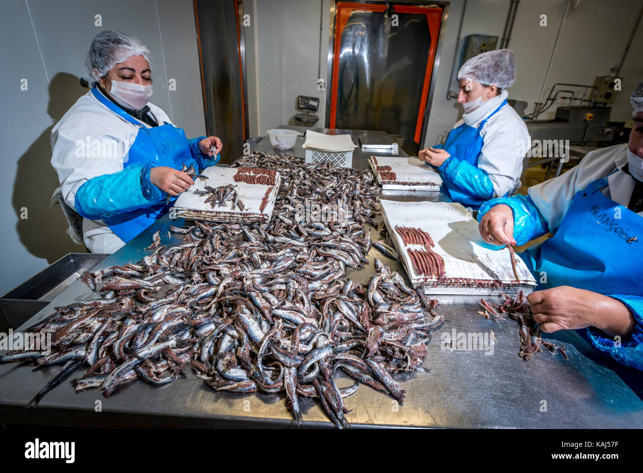 Roque anchois hi-res stock photography and images - Alamy