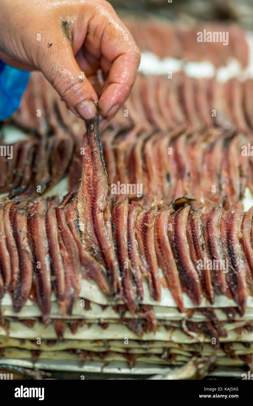 Preparing and filleting salted anchovies at the Roque Anchois anchovy ...