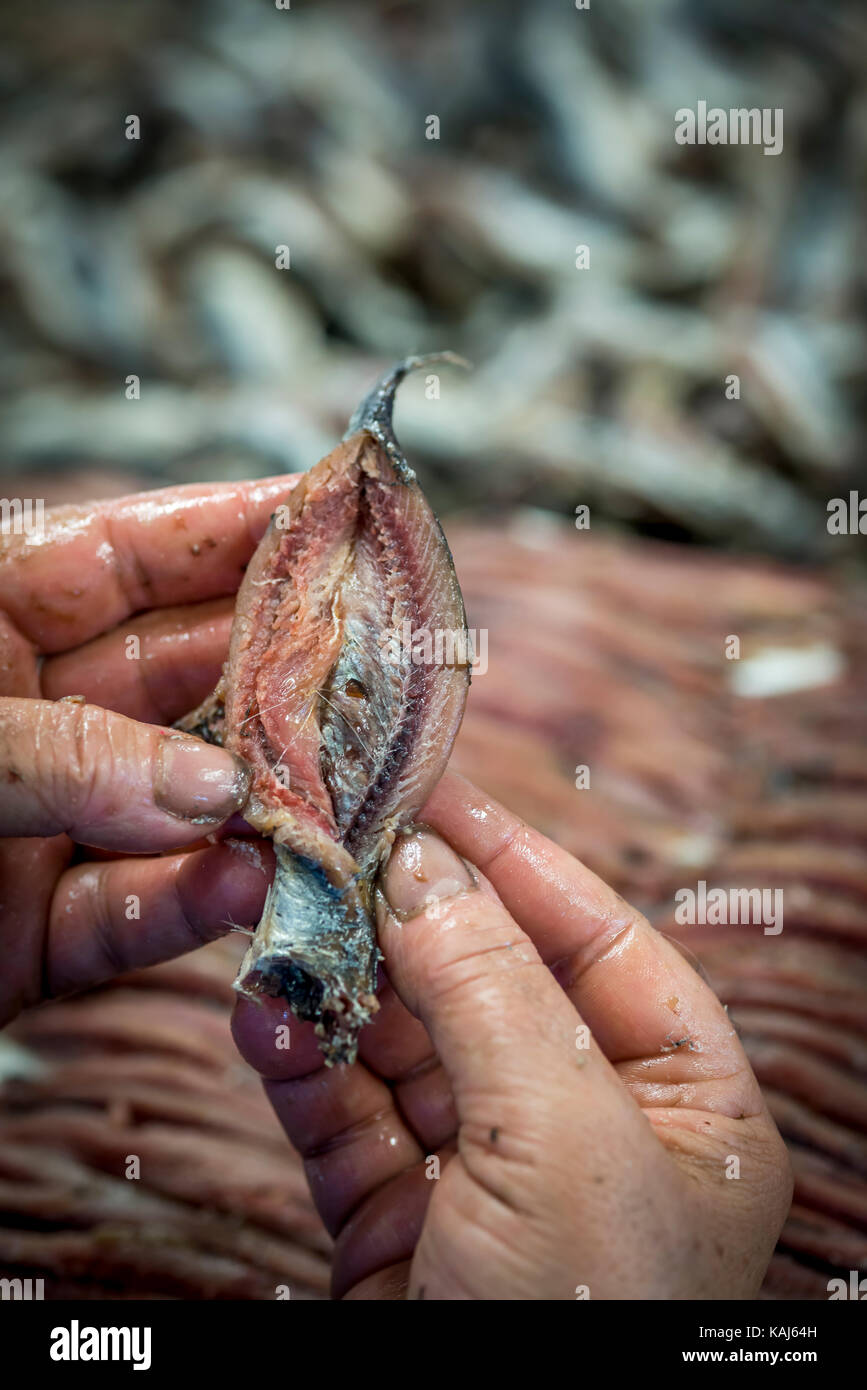 Collioure fish hi-res stock photography and images - Alamy