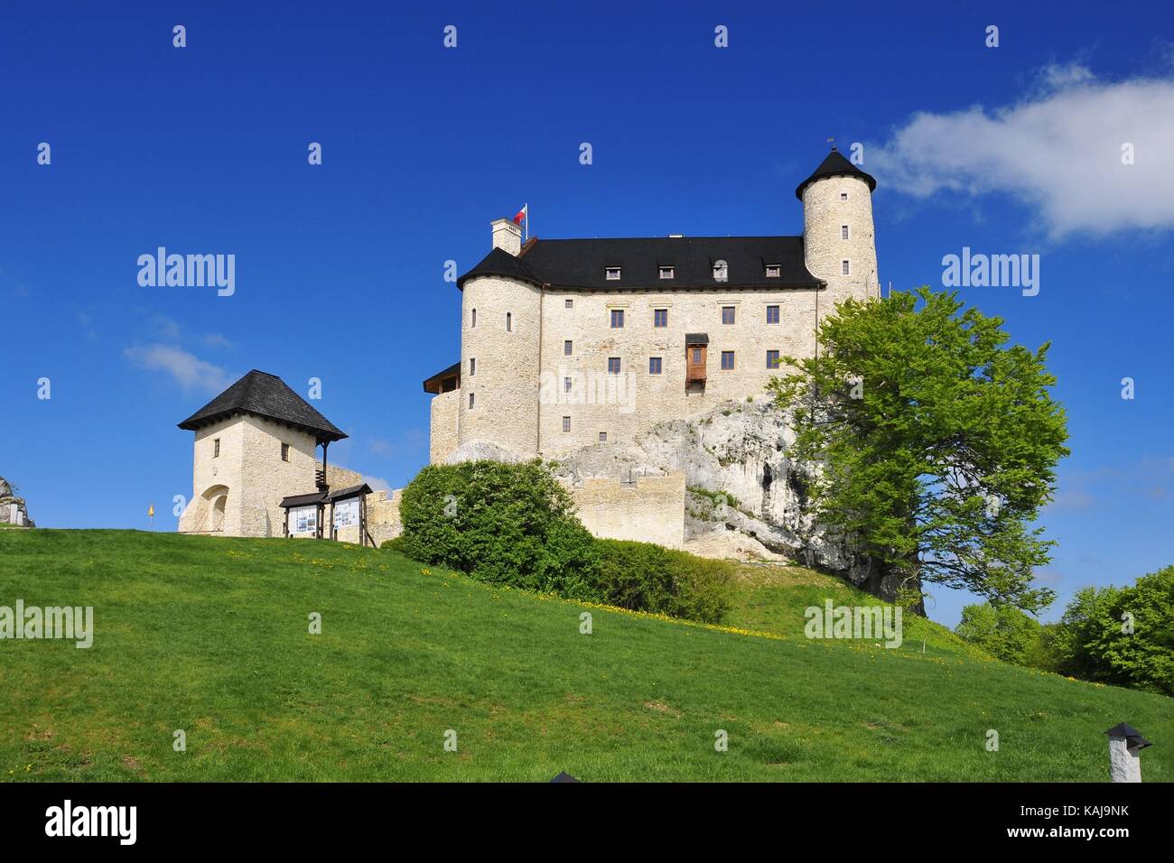 Bobolice Castle, 14th century royal castle in the village of Bobolice ...