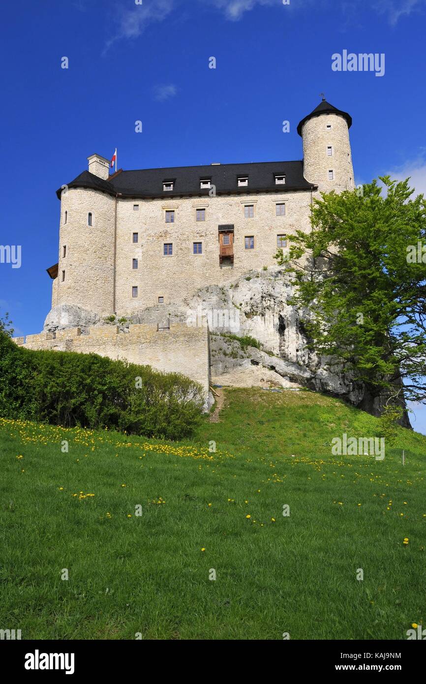 Bobolice Castle, 14th century royal castle in the village of Bobolice ...